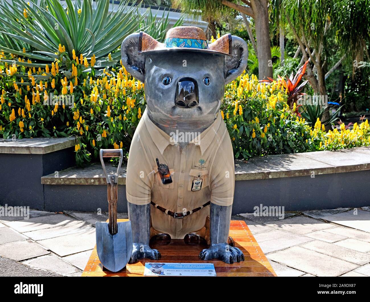 Sydney, Australia - October 12, 2019: Hello Koalas is a unique concept ...