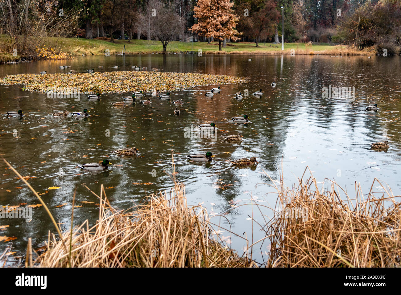 The landscape with the cannon hi-res stock photography and images - Alamy