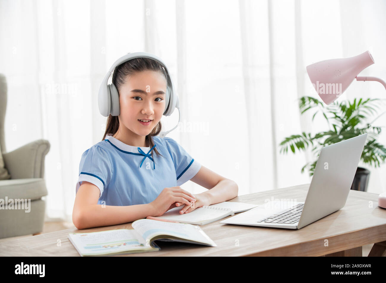 Students look at the computer online learning Stock Photo - Alamy