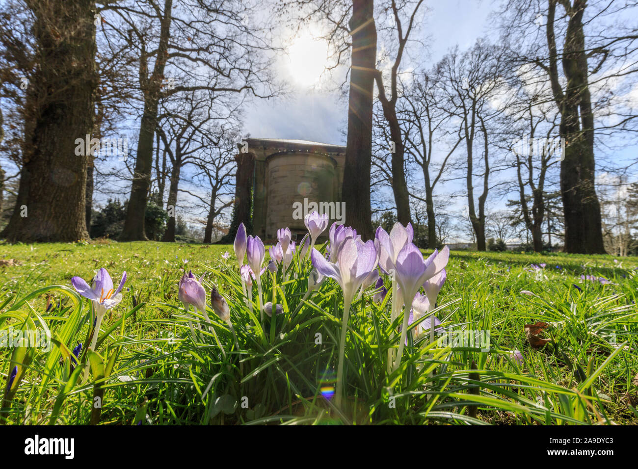 First heralds of spring hi-res stock photography and images - Alamy