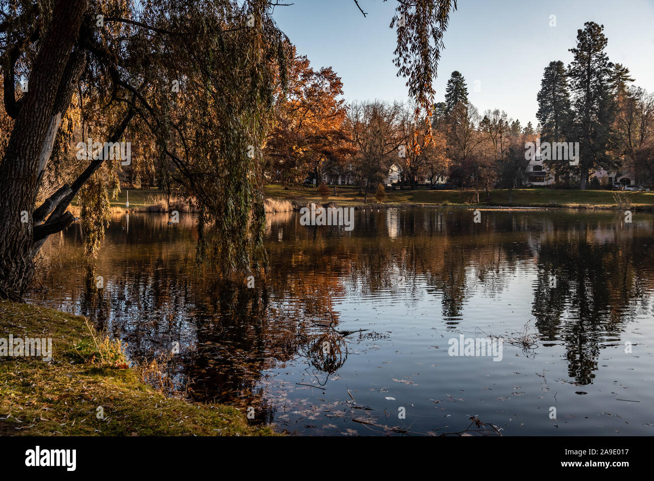Duck Pond At Cannon Hill Park In November Stock Photo - Alamy