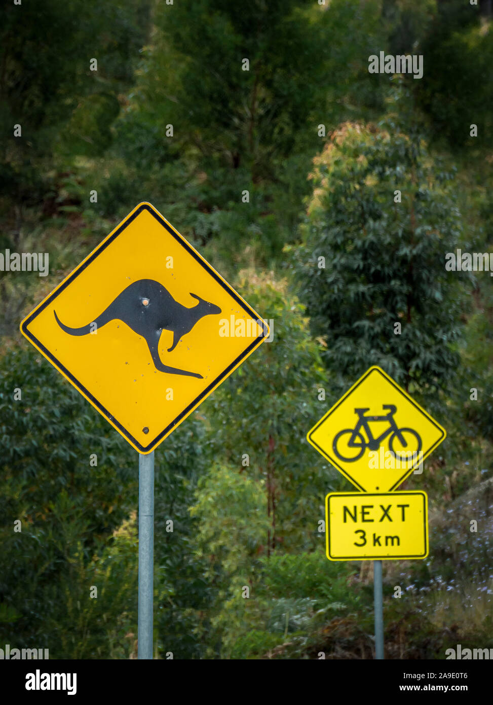 kangaroo danger sign Stock Photo - Alamy