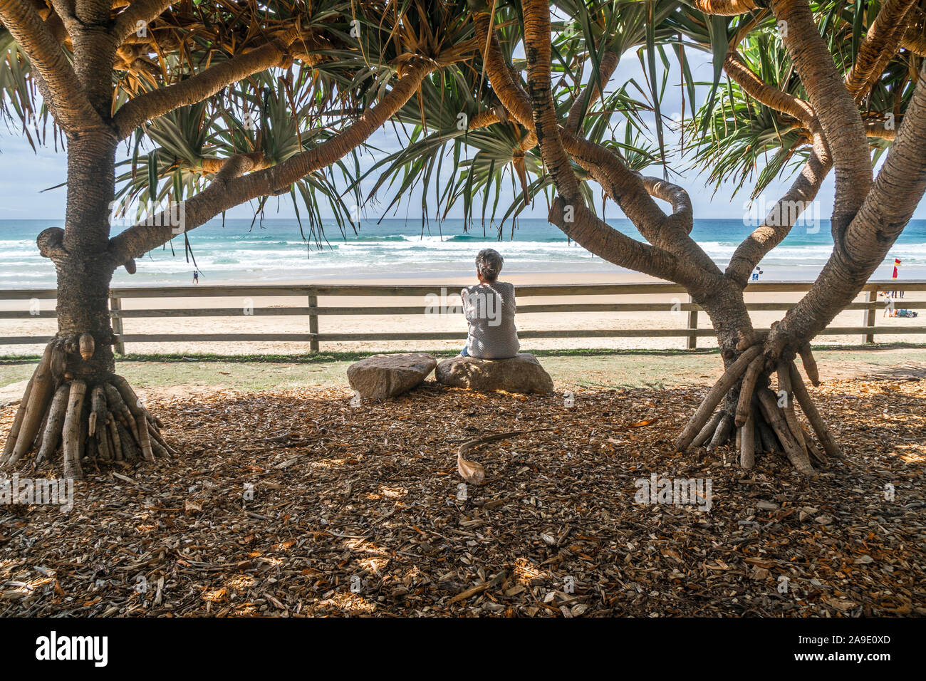Australia, rest on the beach Stock Photo - Alamy