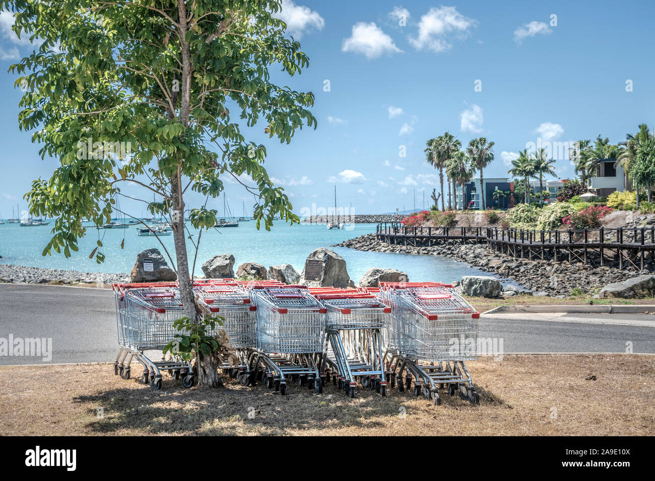 Shopping carts at the sea Stock Photo - Alamy