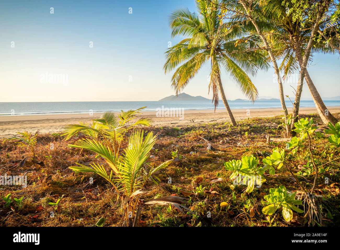Jungle activity australia hi-res stock photography and images - Alamy
