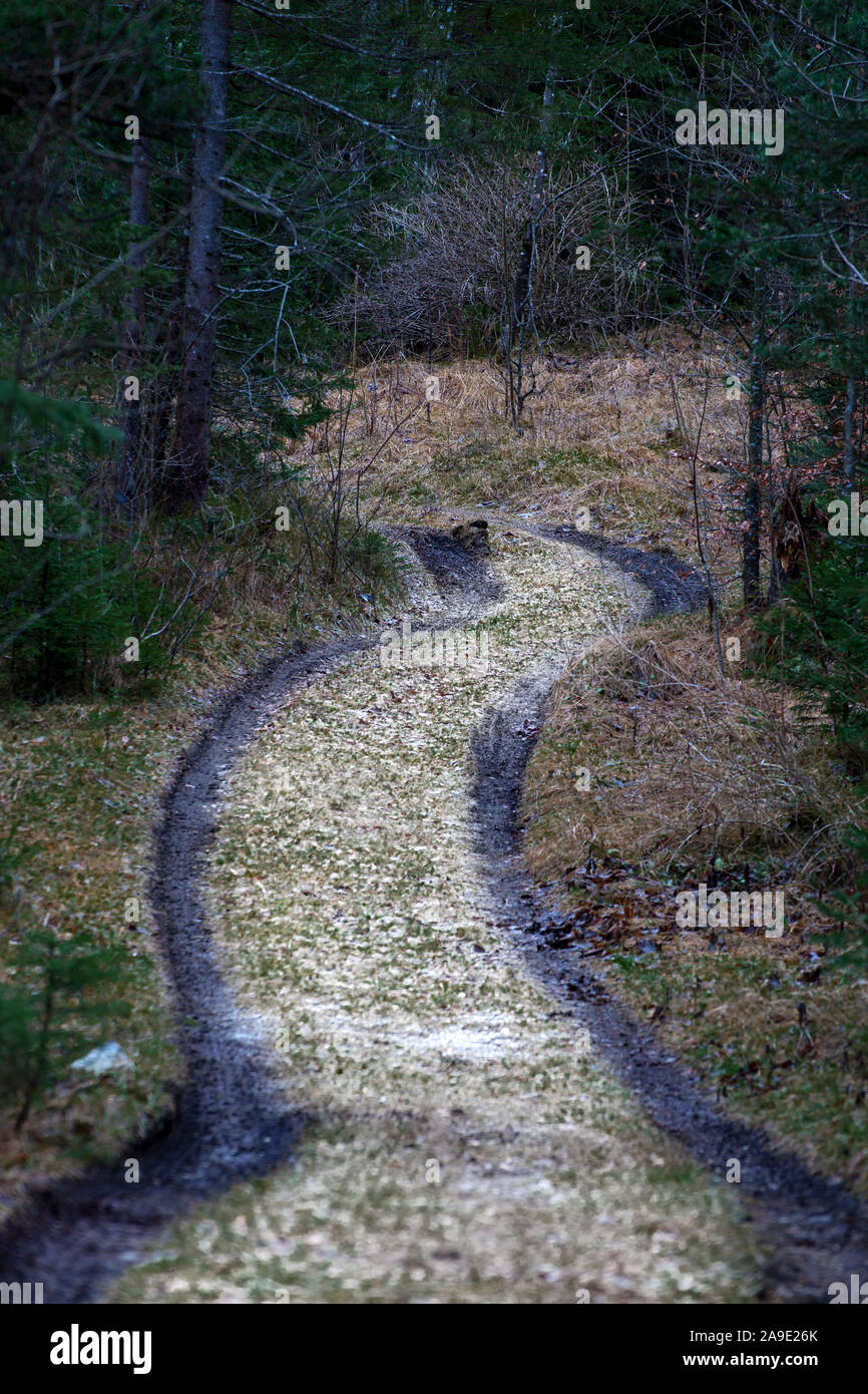 Driveway with striking wheel tracks disappear behind bend Stock Photo ...