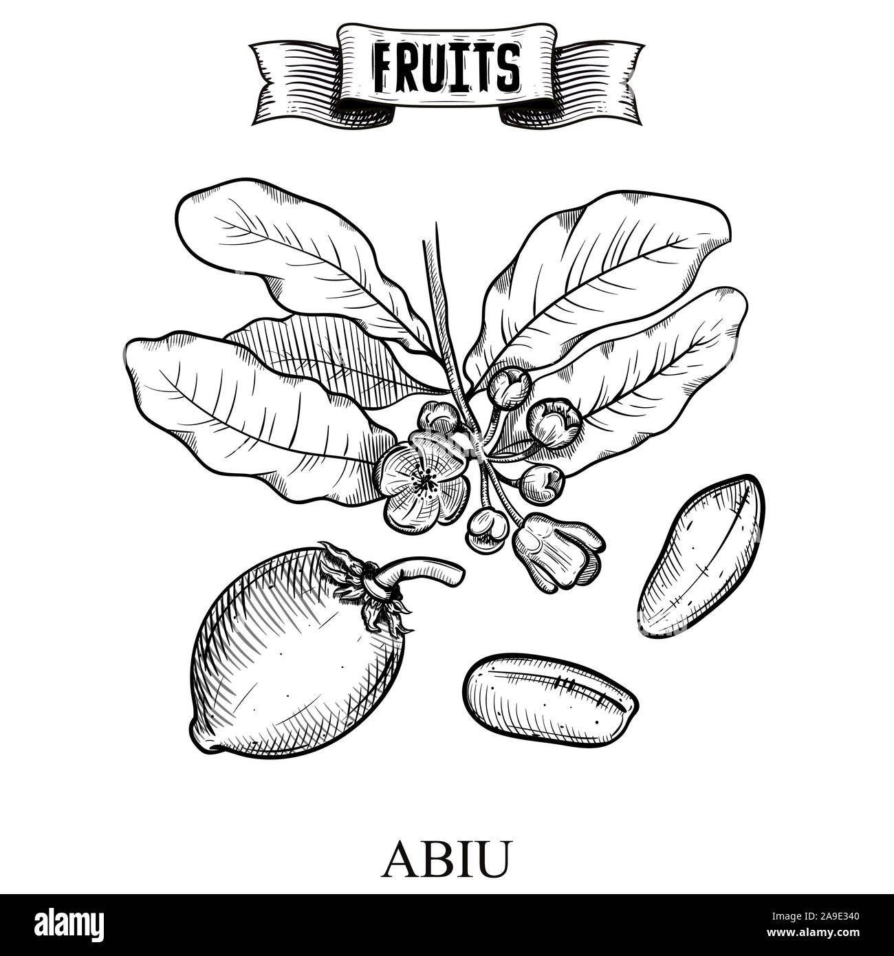 Alasa fruit Stock Vector Images - Alamy