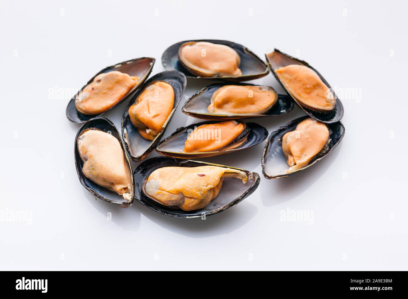 Fresh raw mussels on a white background. Seafood theme Stock Photo - Alamy