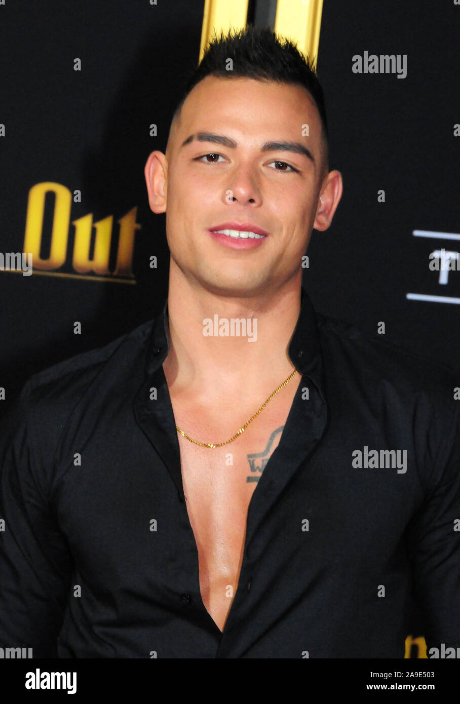 Los Angeles, California, USA 14th November 2019 Nick Mascarado attends ...