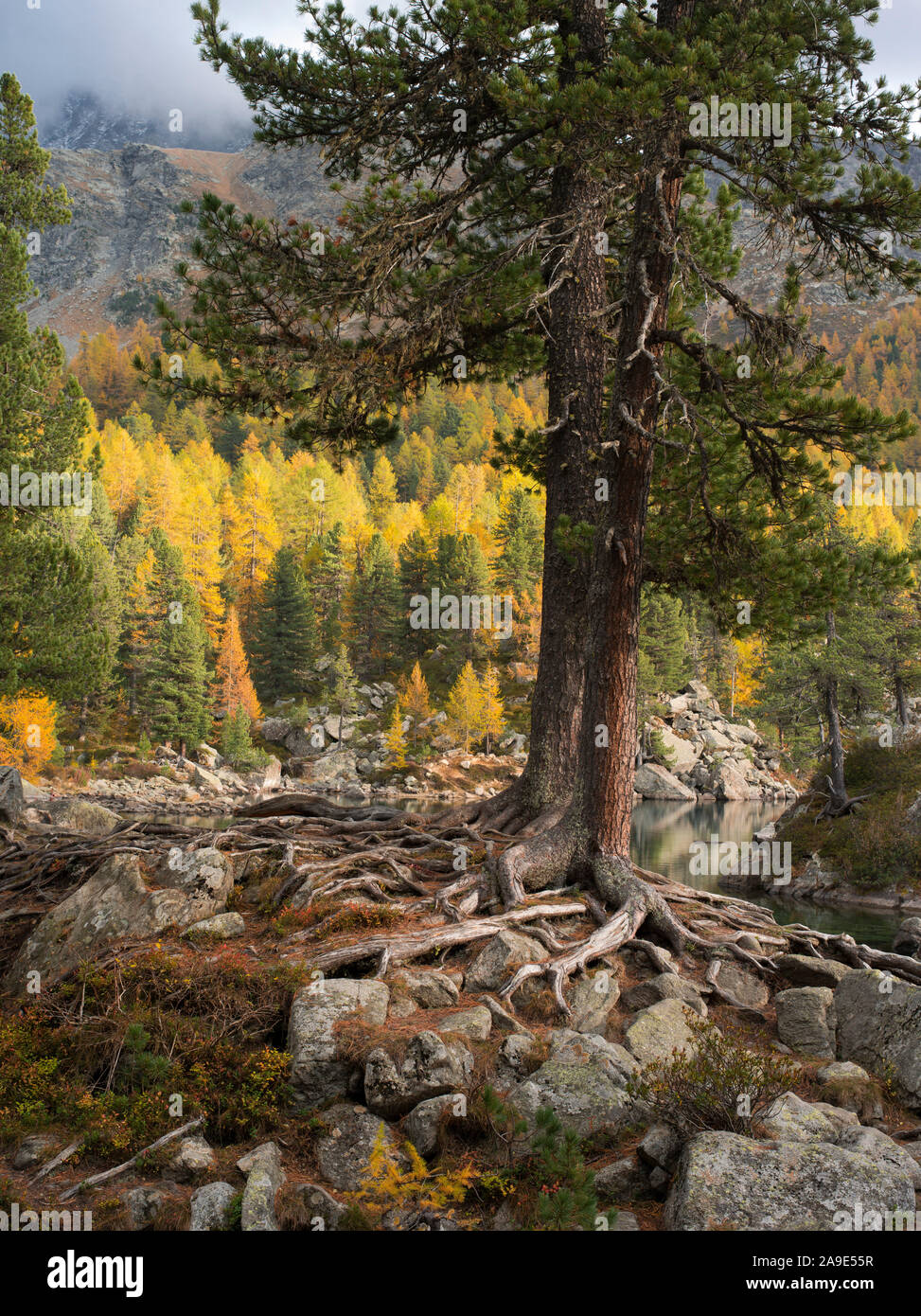 Lago di Saoseo in autumn, Canton of Grisons, Switzerland Stock Photo ...
