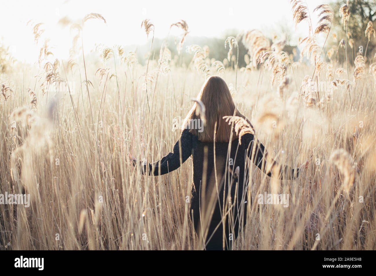 Person taking a morning walk hi-res stock photography and images - Alamy
