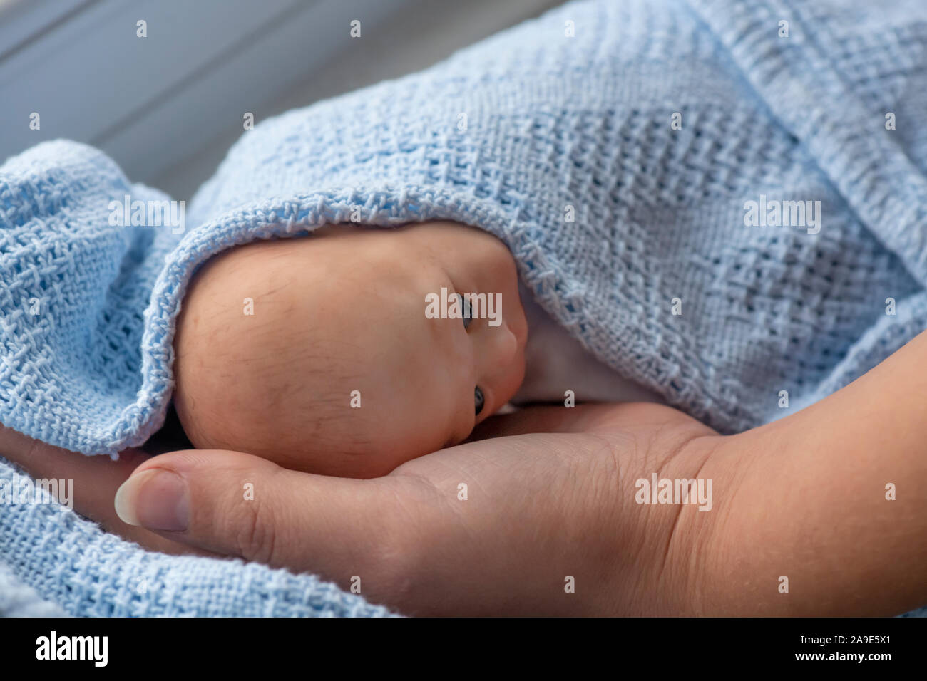 premature newborn baby wrapped in blue blanket with mothers arm and ...