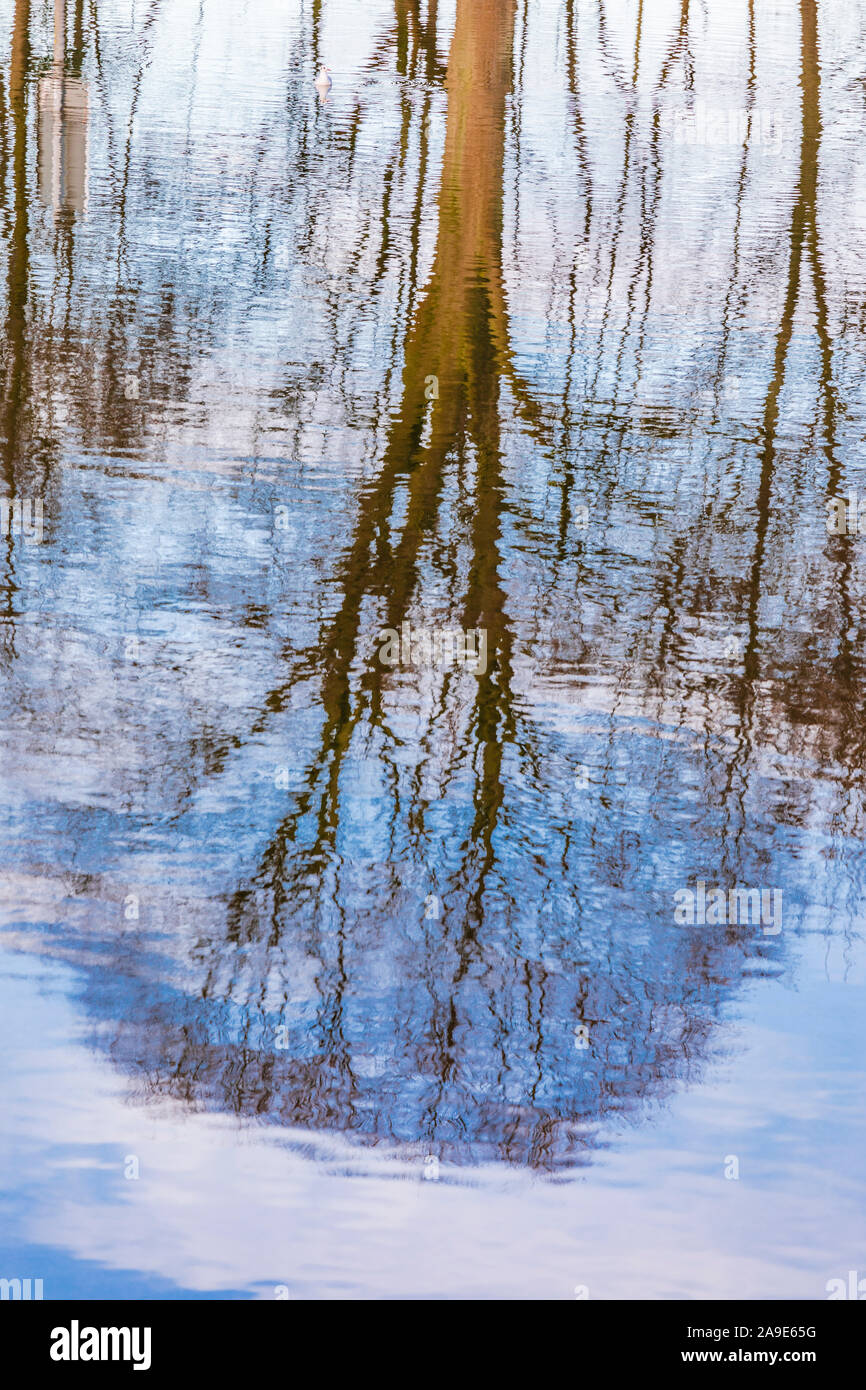 Tree mirrorings on the water surface Stock Photo - Alamy
