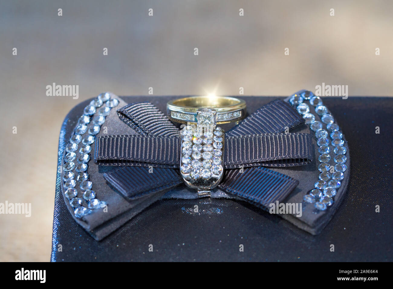 Diamante purse hi-res stock photography and images - Alamy