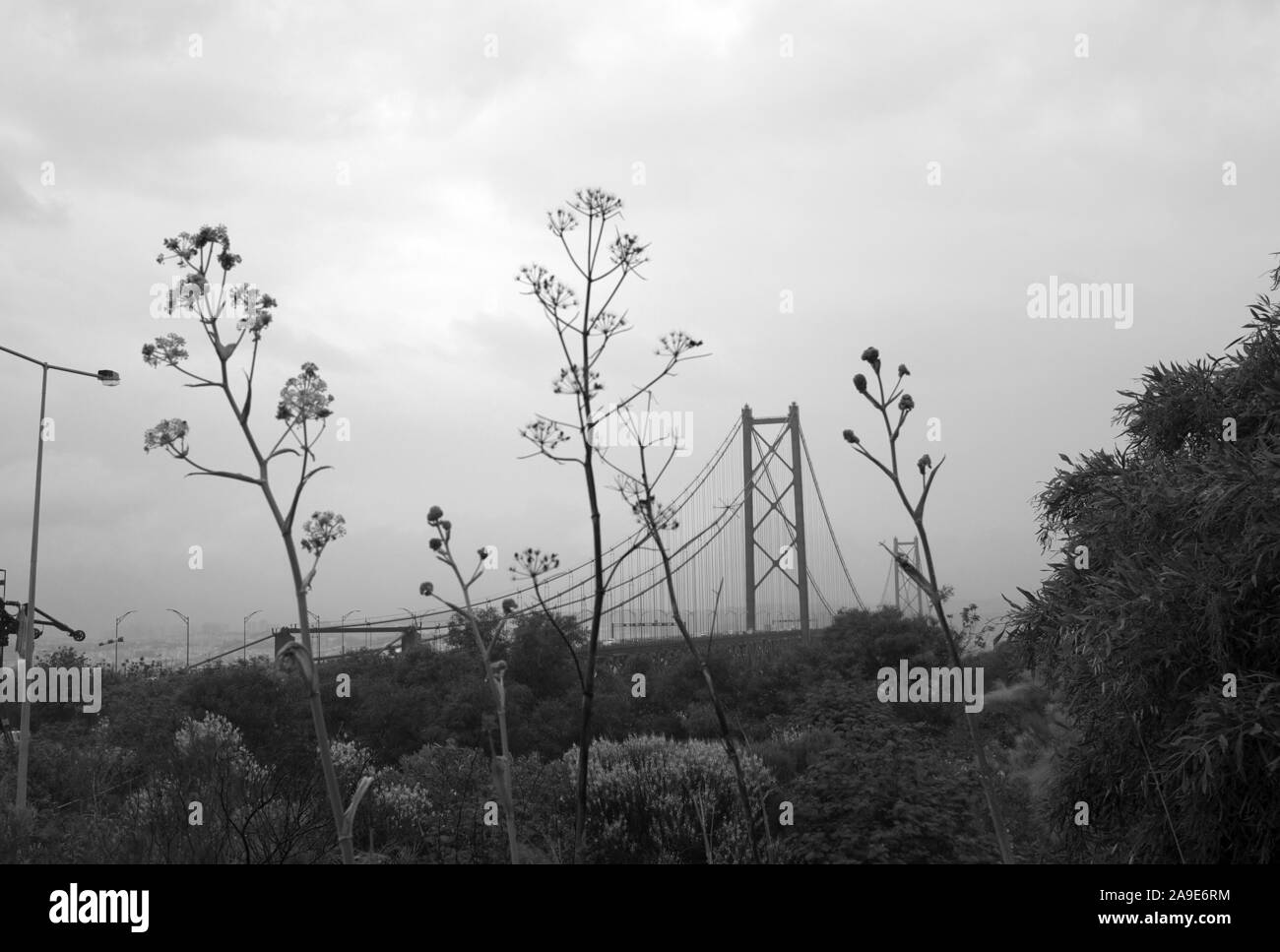 Rainy april Black and White Stock Photos & Images - Alamy