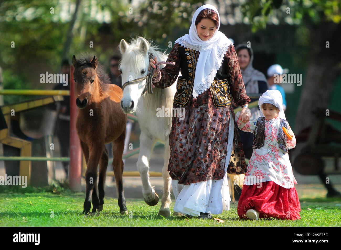 The most beautiful Caspian horse race in Iran Stock Photo - Alamy