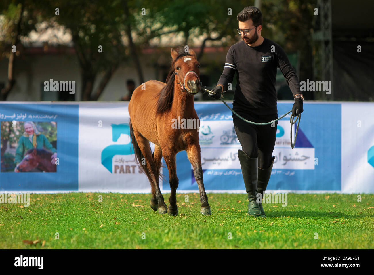 The most beautiful Caspian horse race in Iran Stock Photo - Alamy