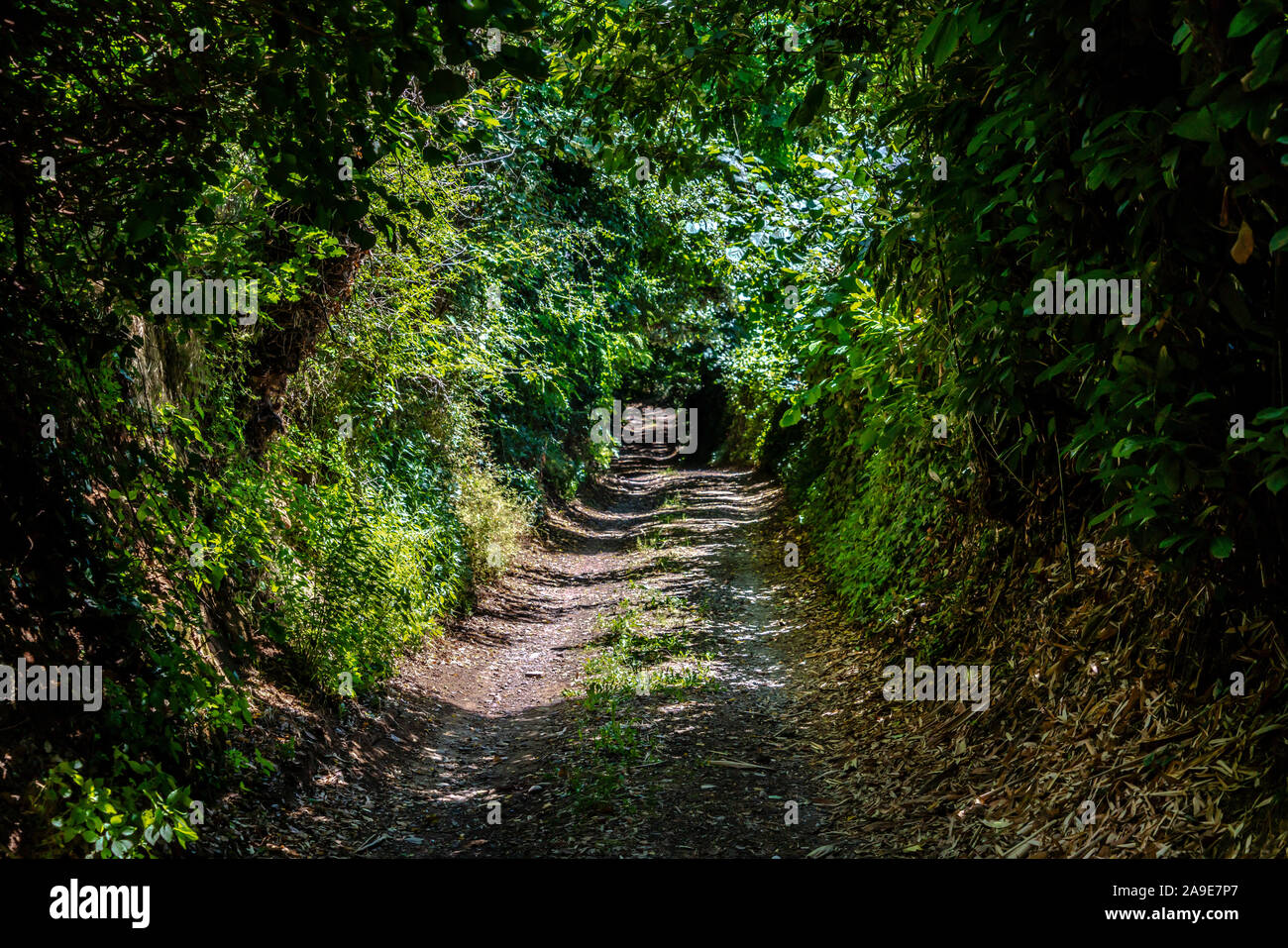Hollow pathway hi-res stock photography and images - Alamy
