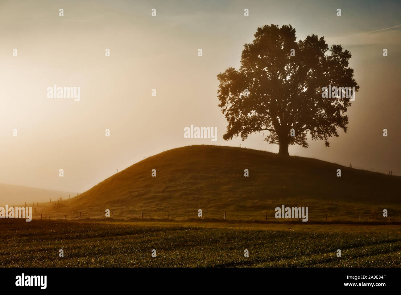 Germany beautiful nature landscape hi-res stock photography and images ...