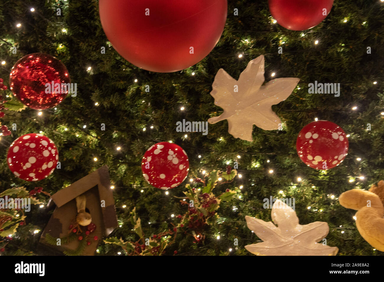 Christian Festivals Christmas