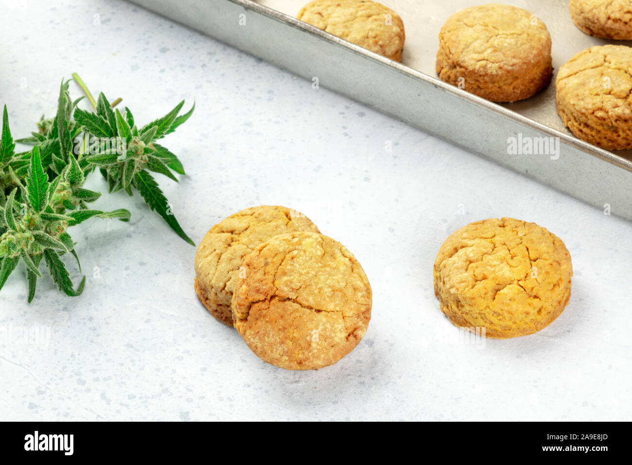 Cannabis butter cookies with marijuana buds, homemade healthy freshly ...