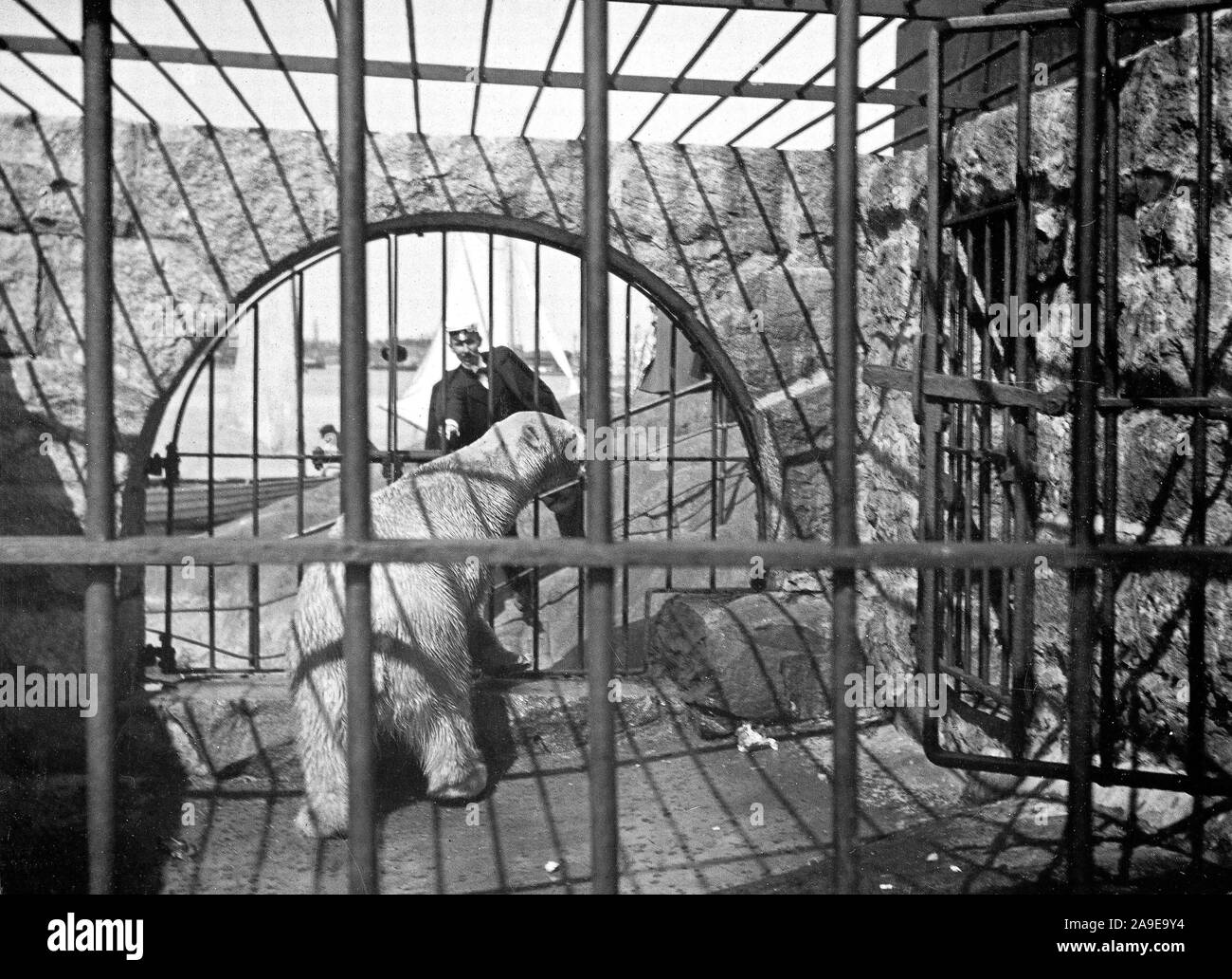 Helsinki zoo late 1800s hi-res stock photography and images - Alamy