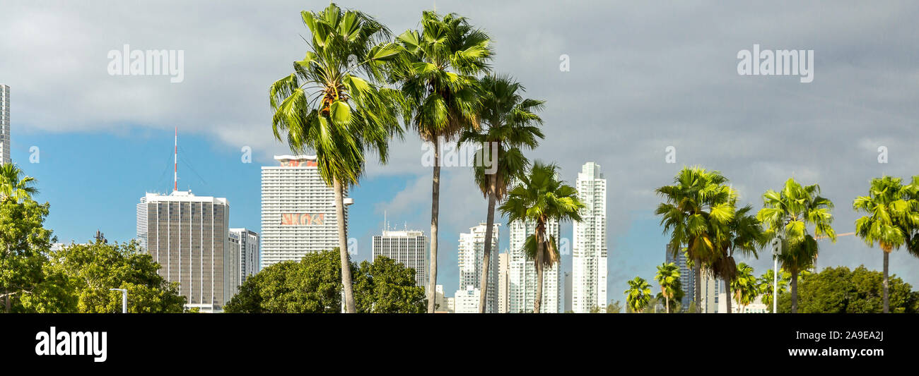 Skyline, centre of the city, Miami, Miami-Dade county, Florida, the USA ...