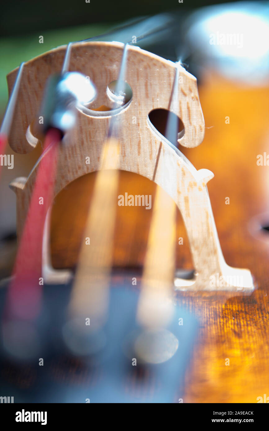 Violin, detail, stringed instrument Stock Photo - Alamy