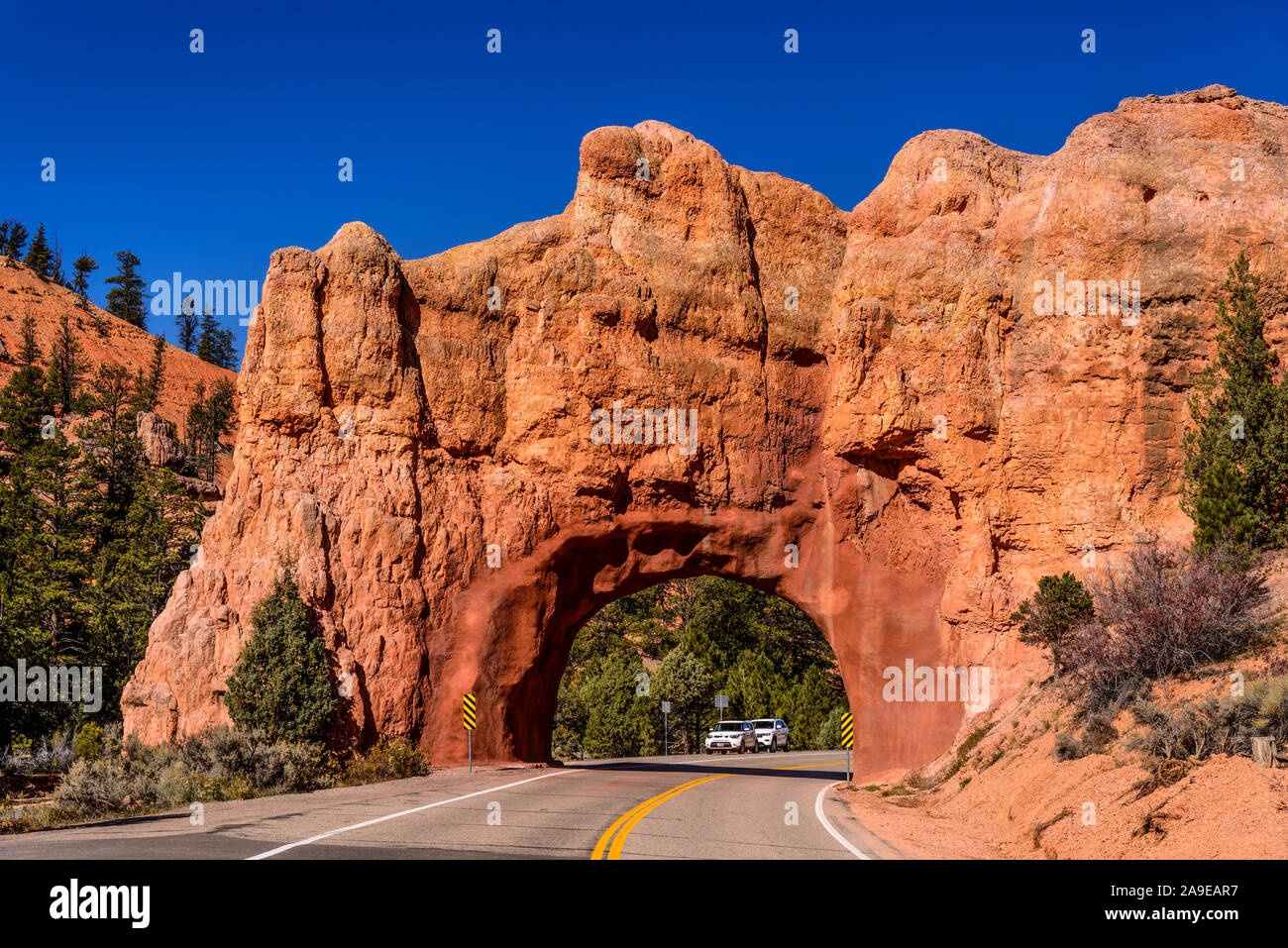 The USA, Utah, Garfield County, Dixie National Forest, Panguitch, Red ...
