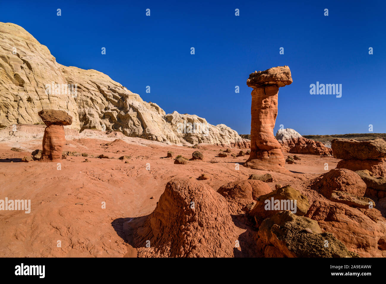 Kanab Toadstools High Resolution Stock Photography and Images - Alamy