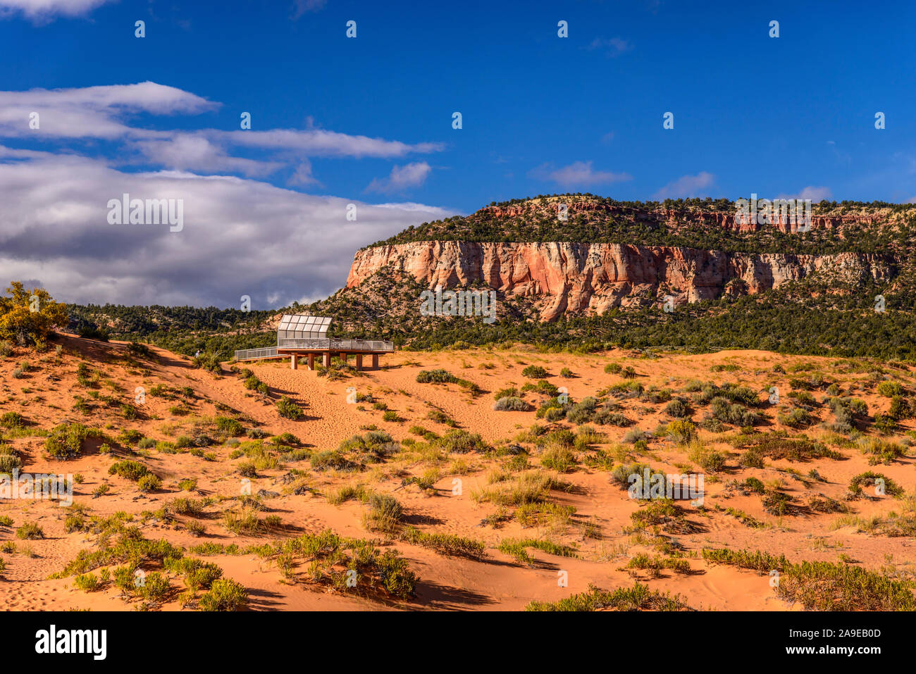 The USA, Utah, Kane County, Kanab, Coral Pink Sand Dunes State park ...