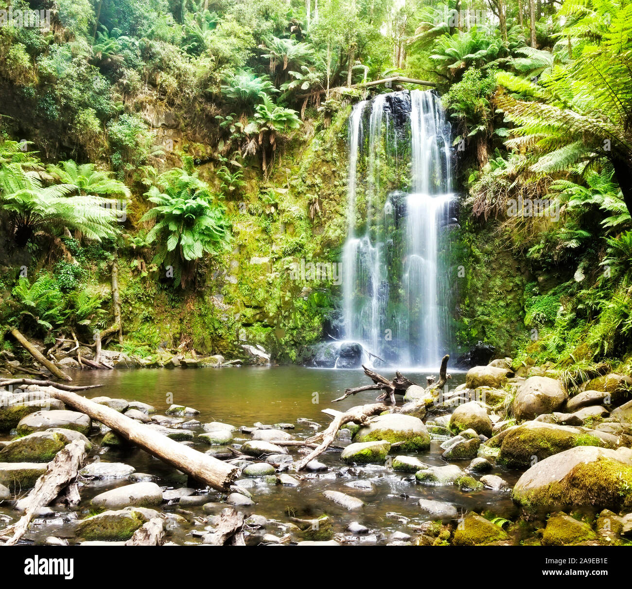 A photography of a rain forest waterfall Stock Photo - Alamy