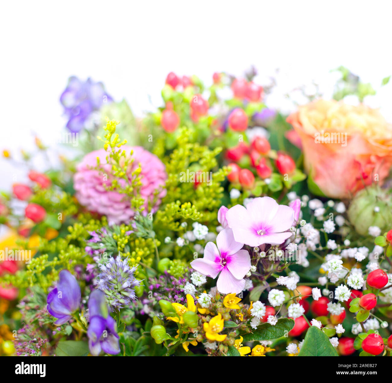Set flowers red colors hi-res stock photography and images - Alamy