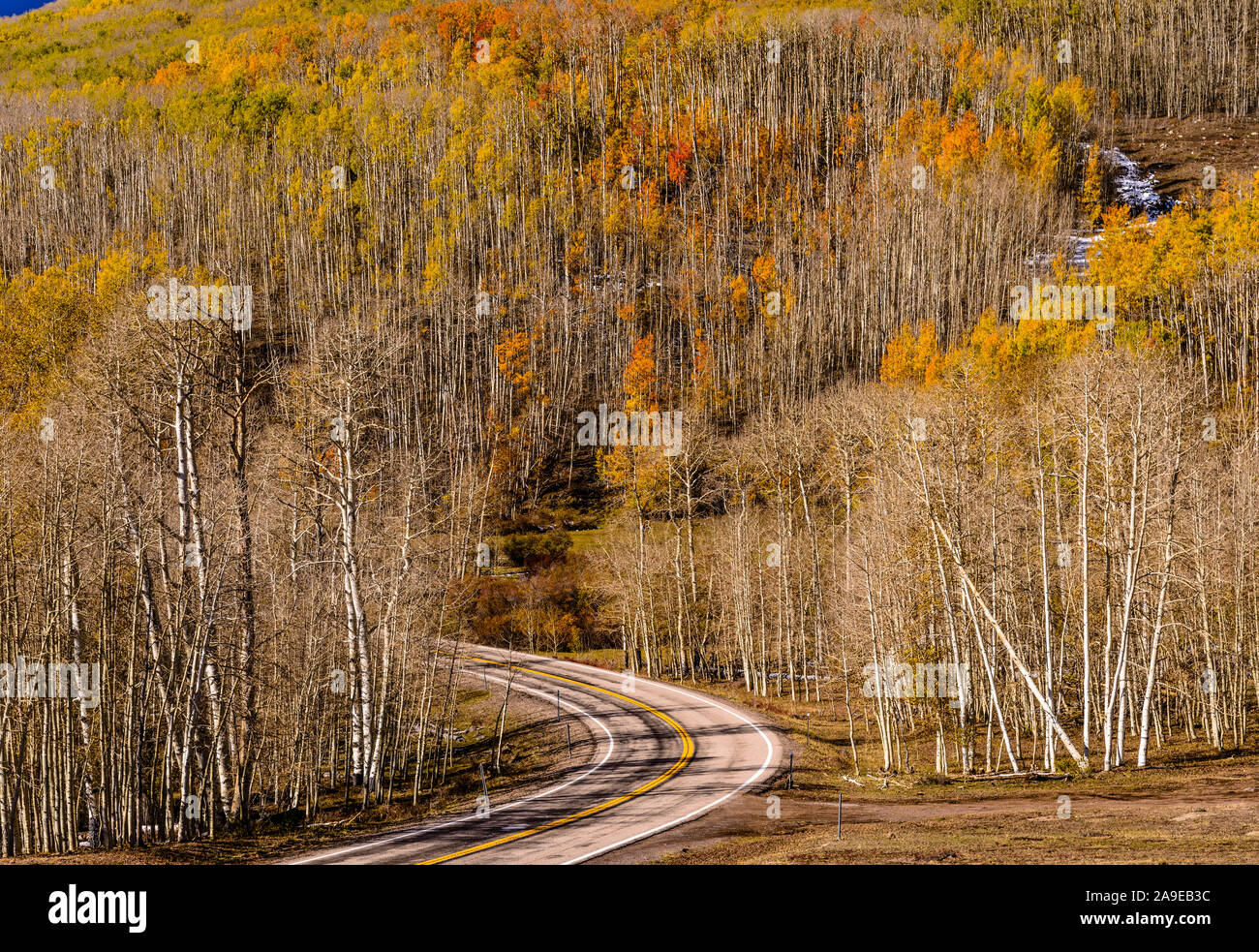 The USA, Utah, Garfield County, Boulder, Boulder Mountain, Scenic Byway ...