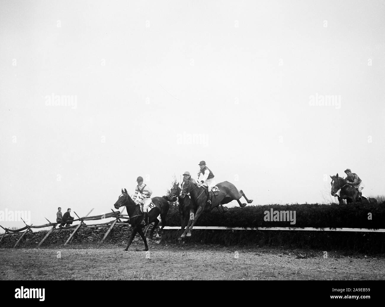 Horses jumping over hedges ca. 1931 Stock Photo - Alamy