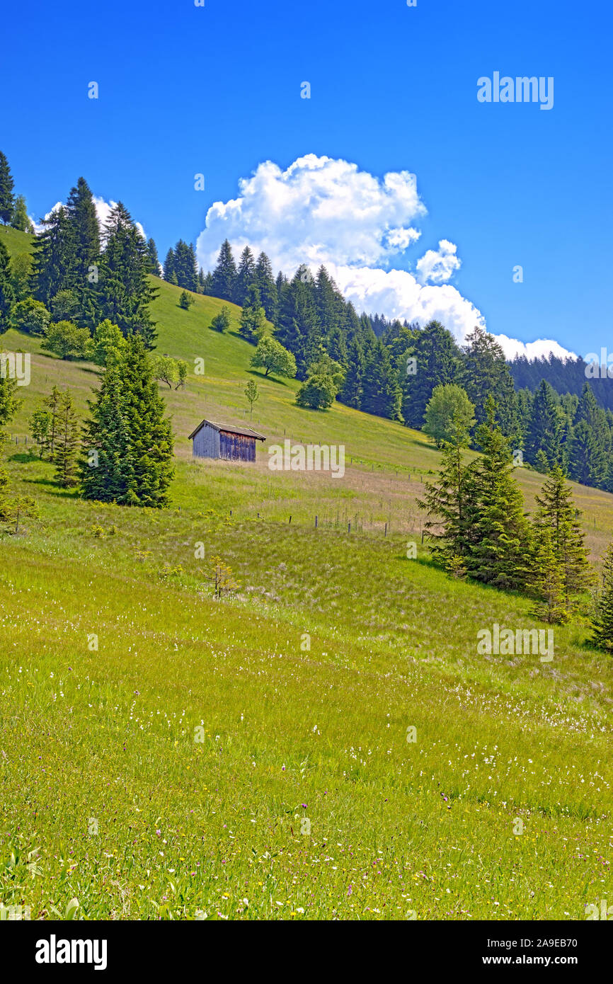 An image of a typical german alps scenery Stock Photo - Alamy