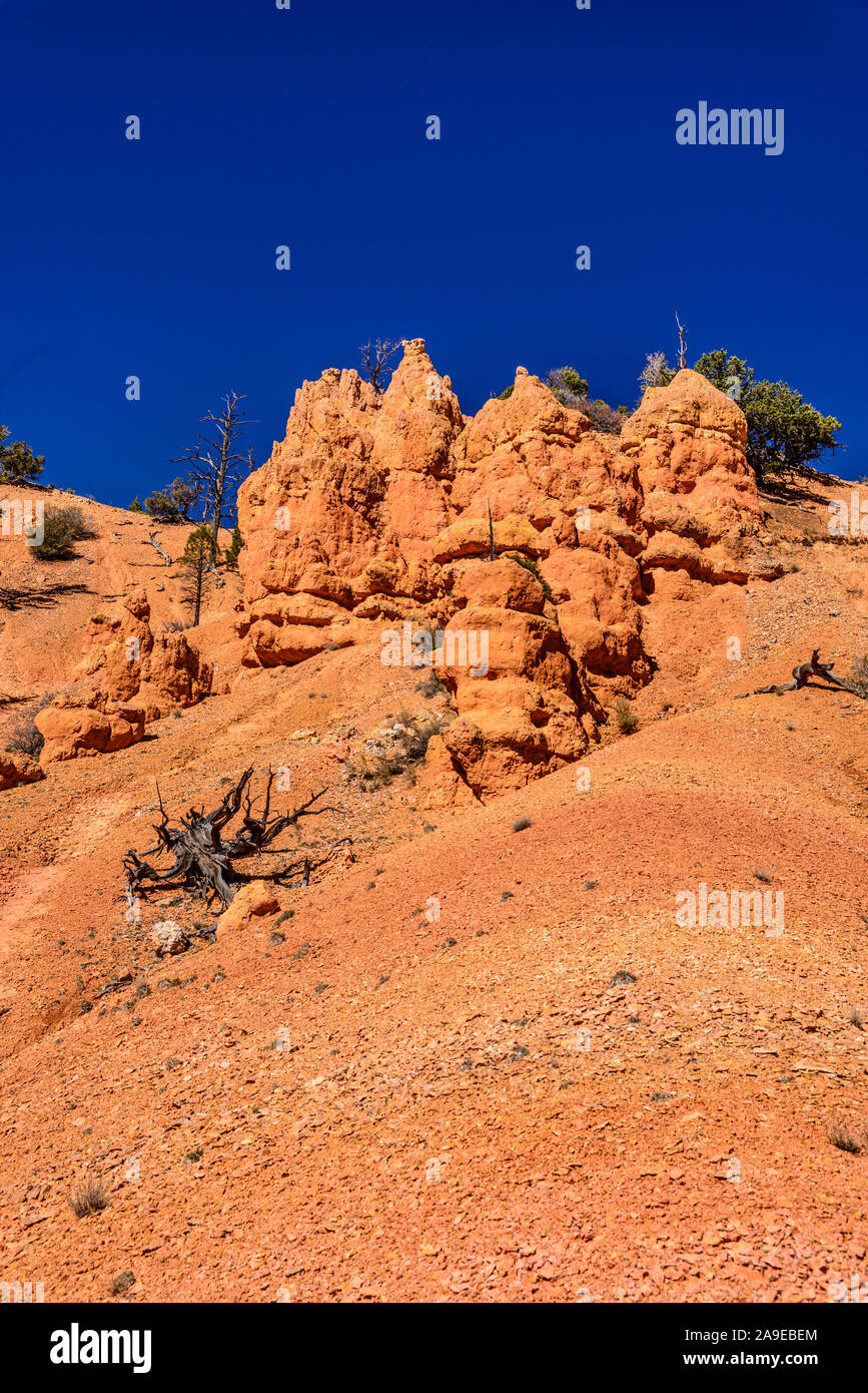 The USA, Utah, Garfield County, Dixie National Forest, Panguitch, Red ...