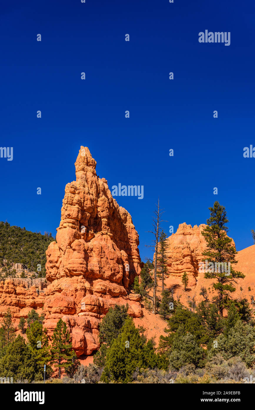 The USA, Utah, Garfield County, Dixie National Forest, Panguitch, Red ...