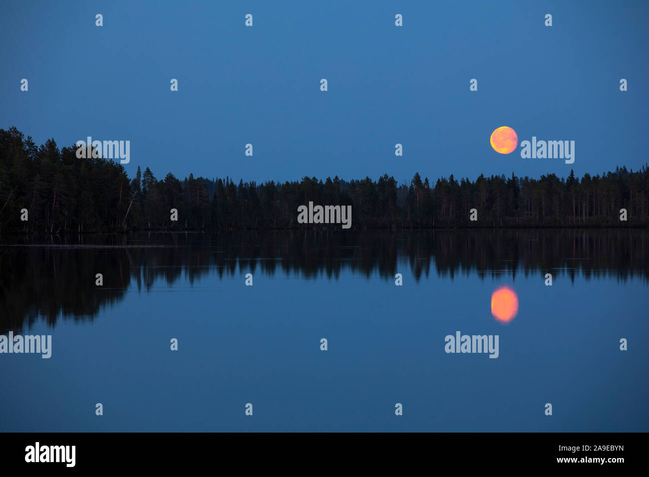 Finland, Lapland, Kuusamo, full moon about lakeside with mirroring ...