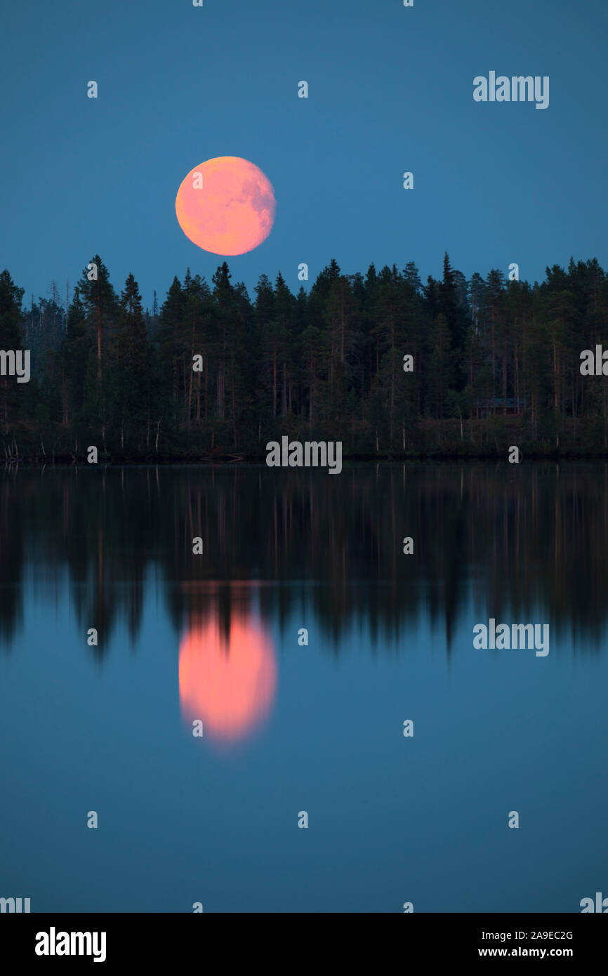 Finland, Lapland, Kuusamo, full moon over lakeside with mirroring Stock ...
