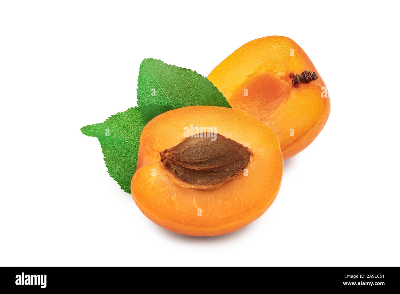Apricot fruit with half isolated on white background macro Stock Photo ...