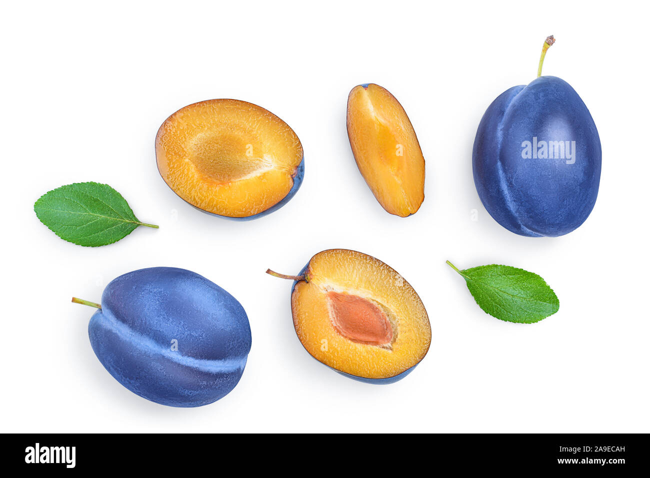 fresh blue plum and half with leaves isolated on white background. Top ...
