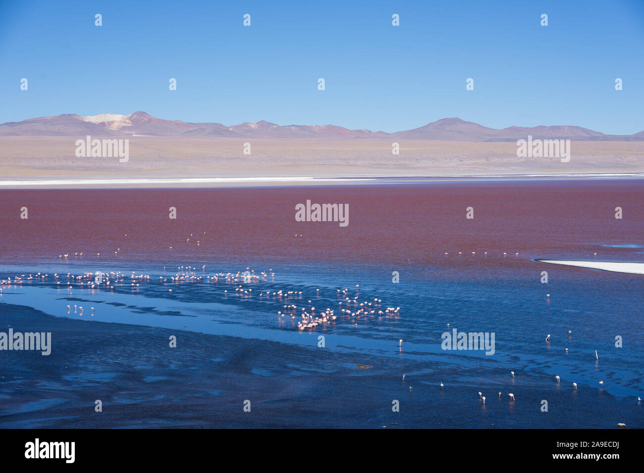 Laguna Blue High Resolution Stock Photography and Images - Alamy