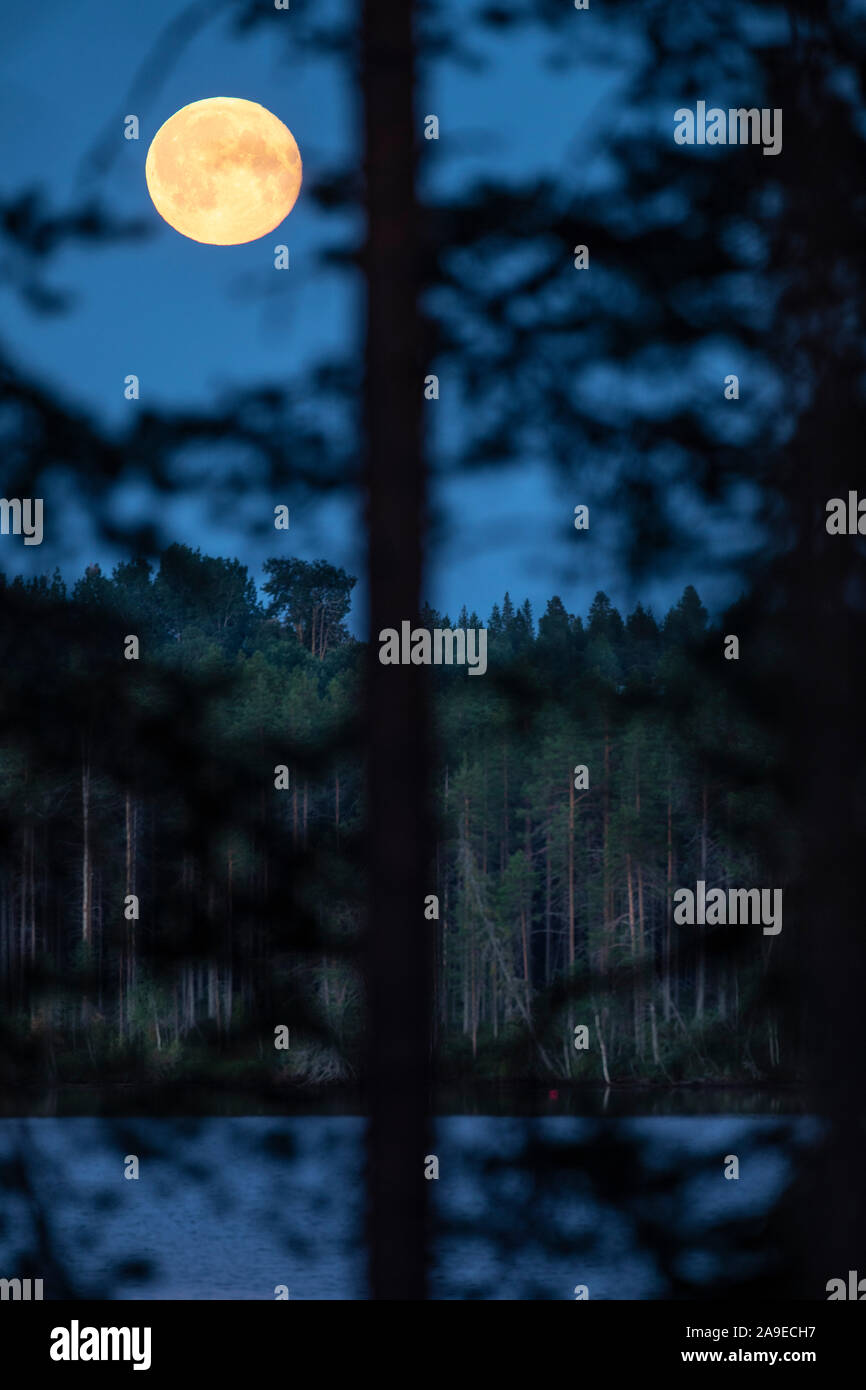 Full moon over lake in Finland, Kuusamo Stock Photo - Alamy