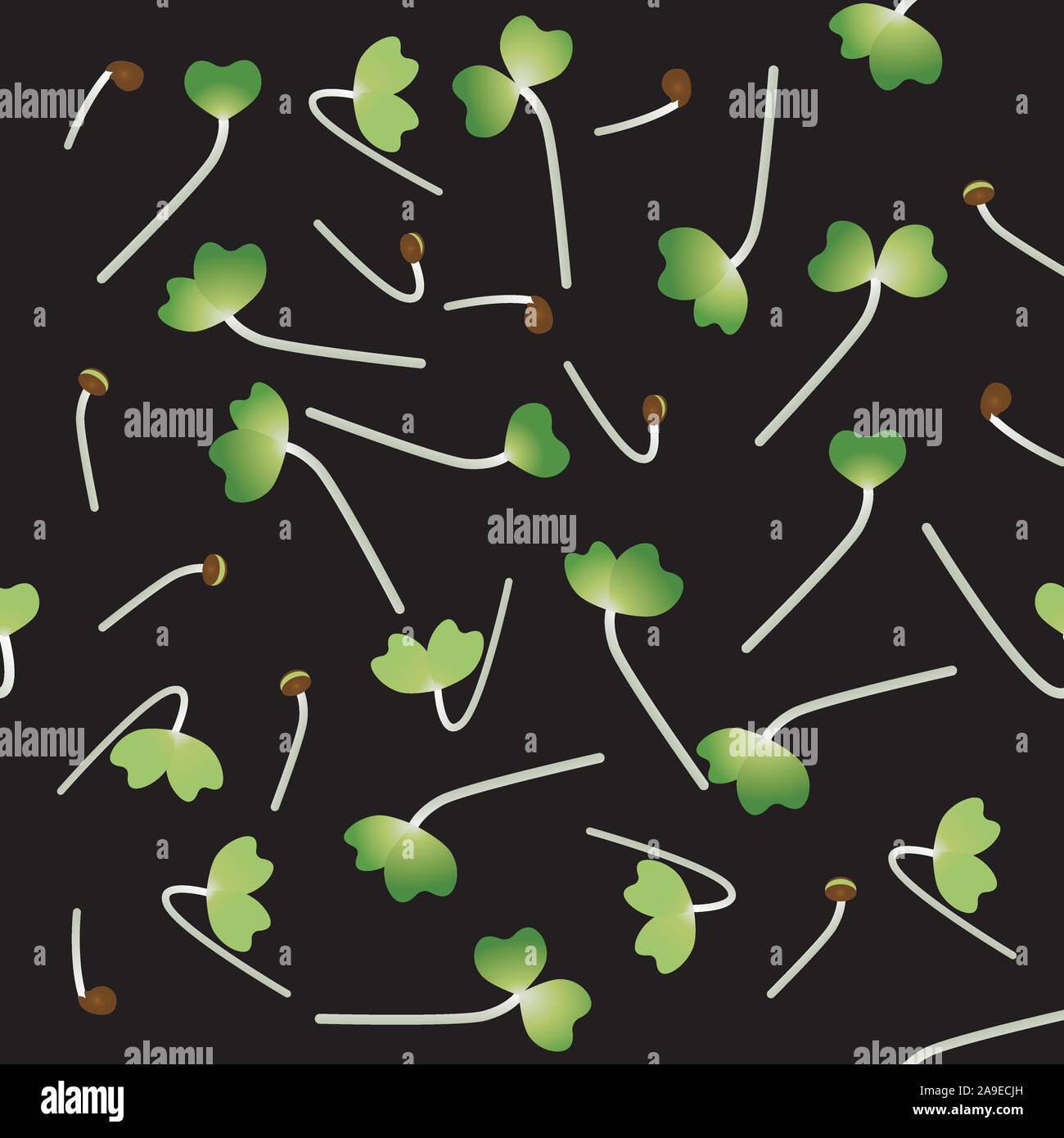 Microgreens Pak Choi. Sprouting seeds of a plant. Seamless pattern ...