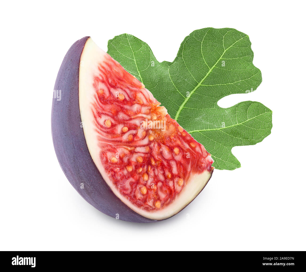 Fresh fig slice fruit with leaf isolated on white background Stock ...
