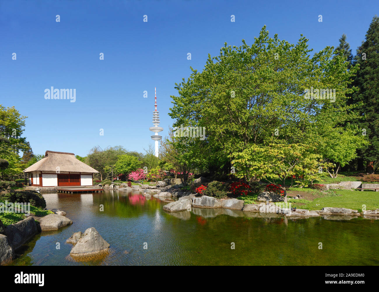 Japanese garden, teahouse and pond with television tower, Hamburg ...