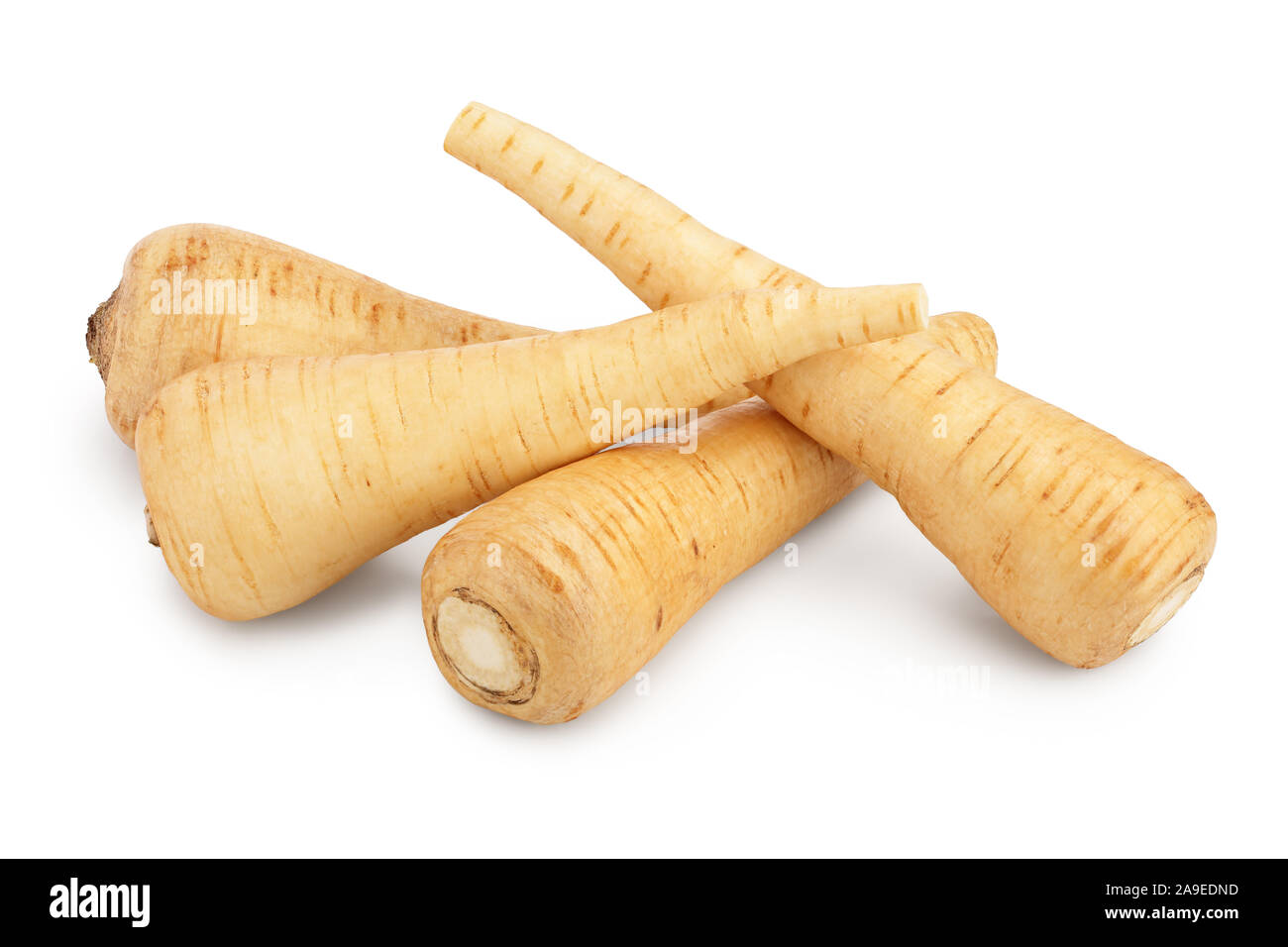 Parsnip root isolated on white background closeup Stock Photo - Alamy