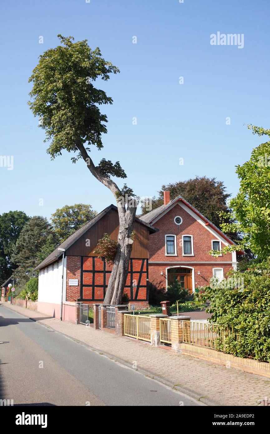 Lilienthal design hi-res stock photography and images - Alamy