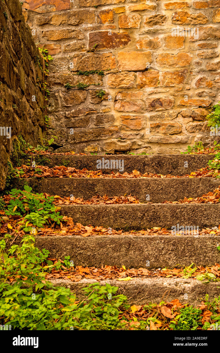 old, medieval stairs with green and fallen leaves Stock Photo - Alamy